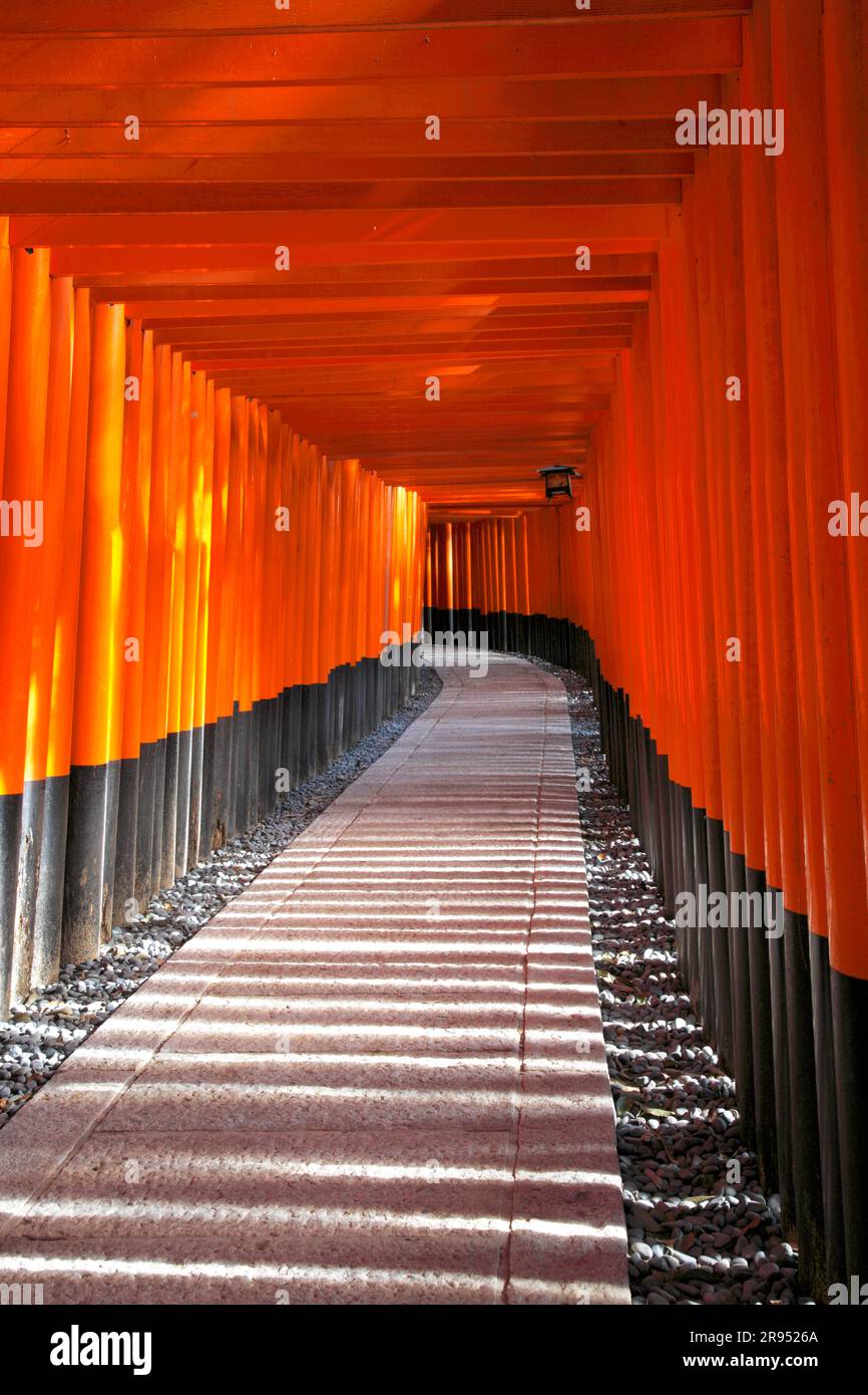 Thousand Torii corridor of Fushimi Inari-Taisha Stock Photo - Alamy