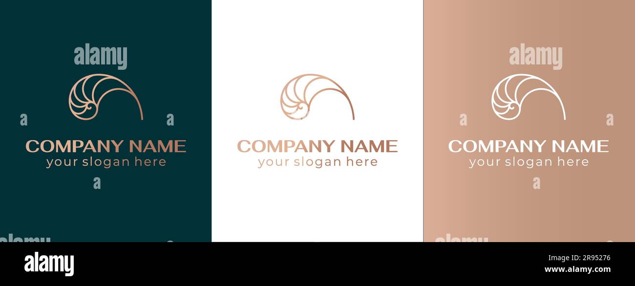 Shell logo. Modern seashell, naulilus. Elegant linear logo. Template to ...