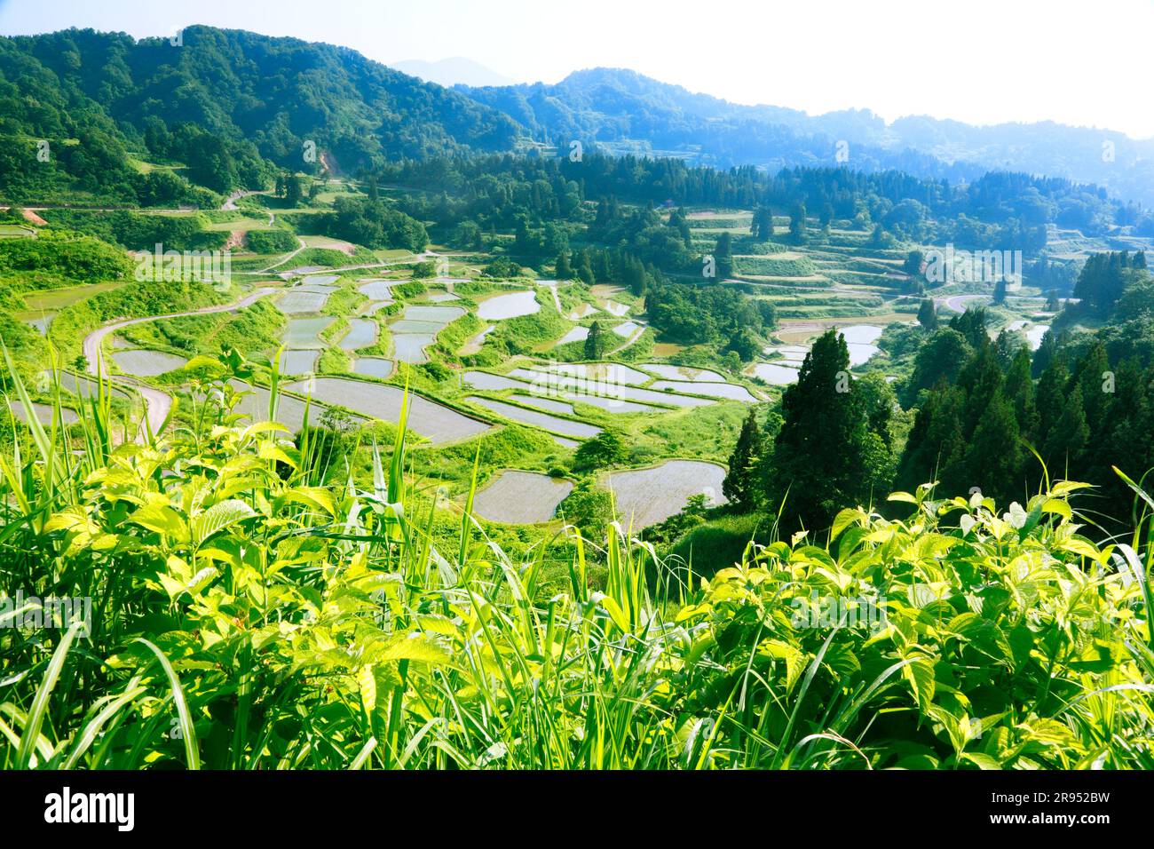 Rice terraces of Hoshitoge Stock Photo - Alamy