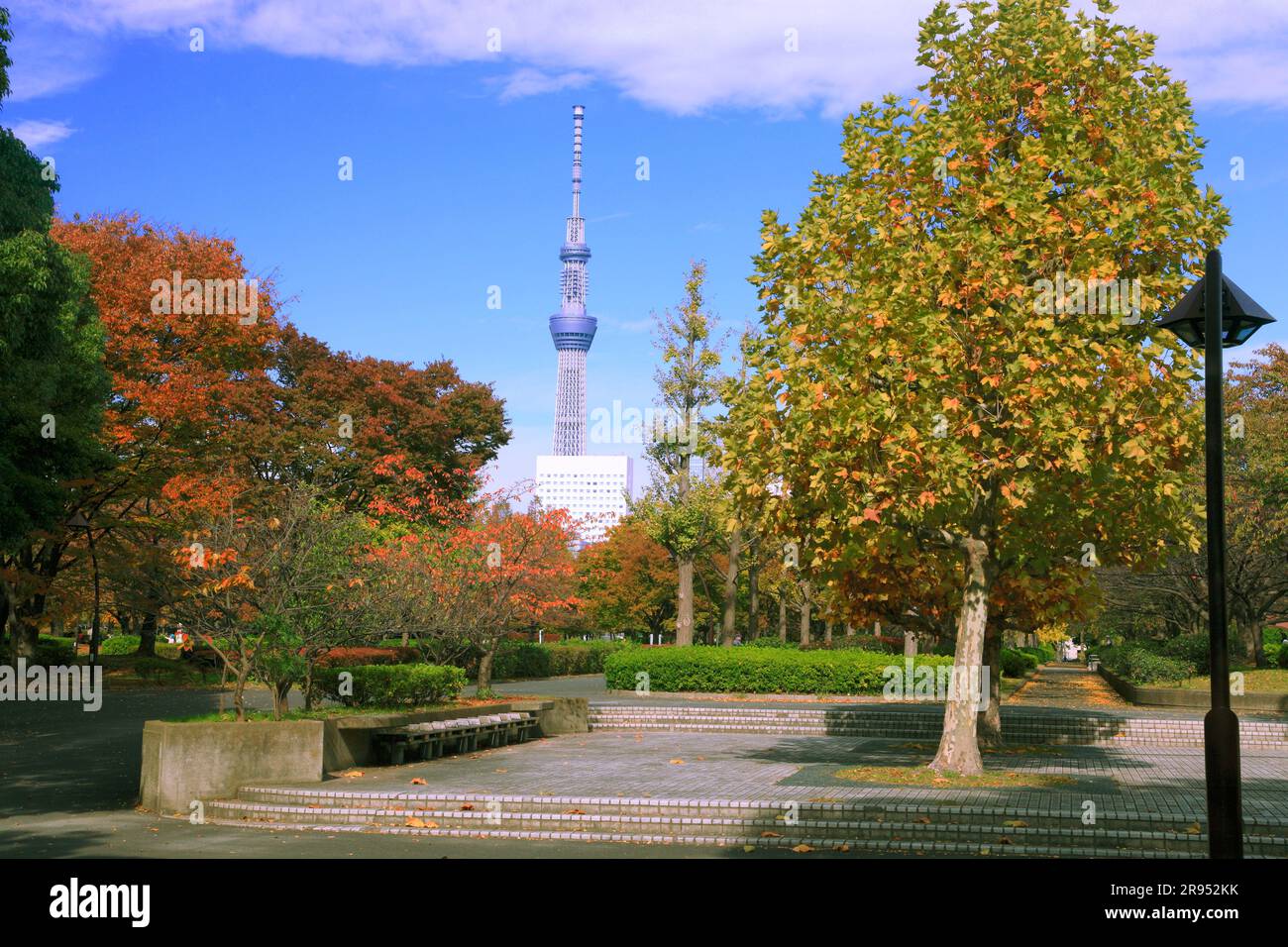 Autumn tower hi-res stock photography and images - Alamy