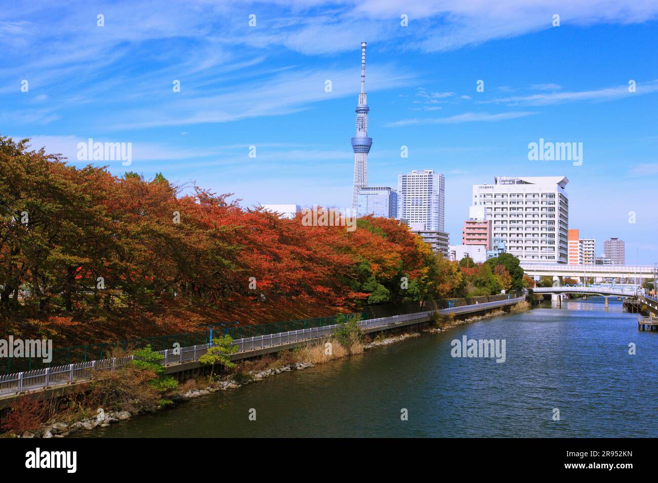 Tokyo Sky Tree in Autumn Stock Photo - Alamy