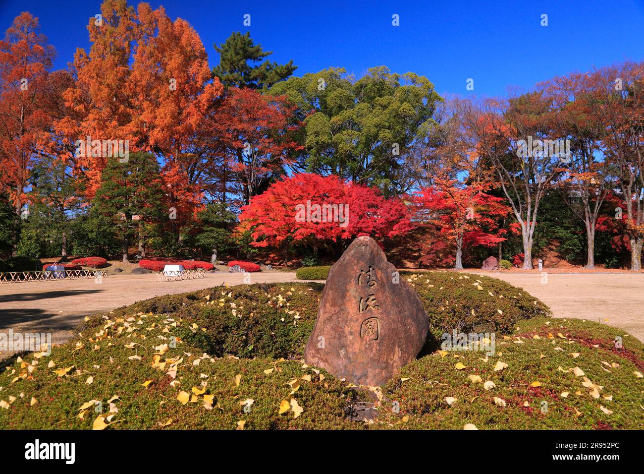 Seiryuu garden of nijo castle hi-res stock photography and images - Alamy