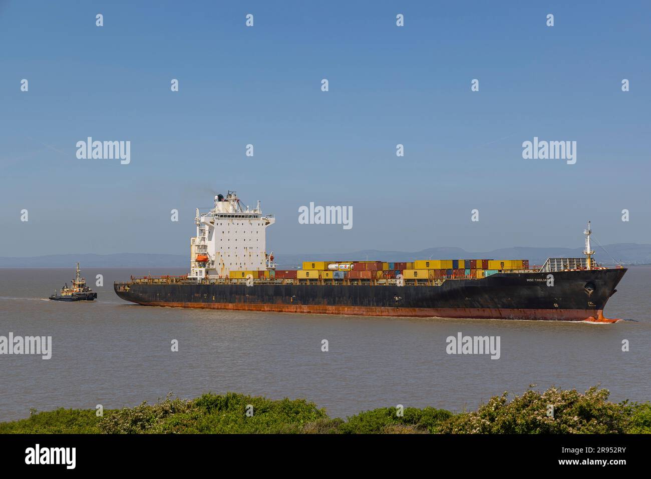 MSC Cagliari IV heading for Royal Portbury docks Stock Photo - Alamy