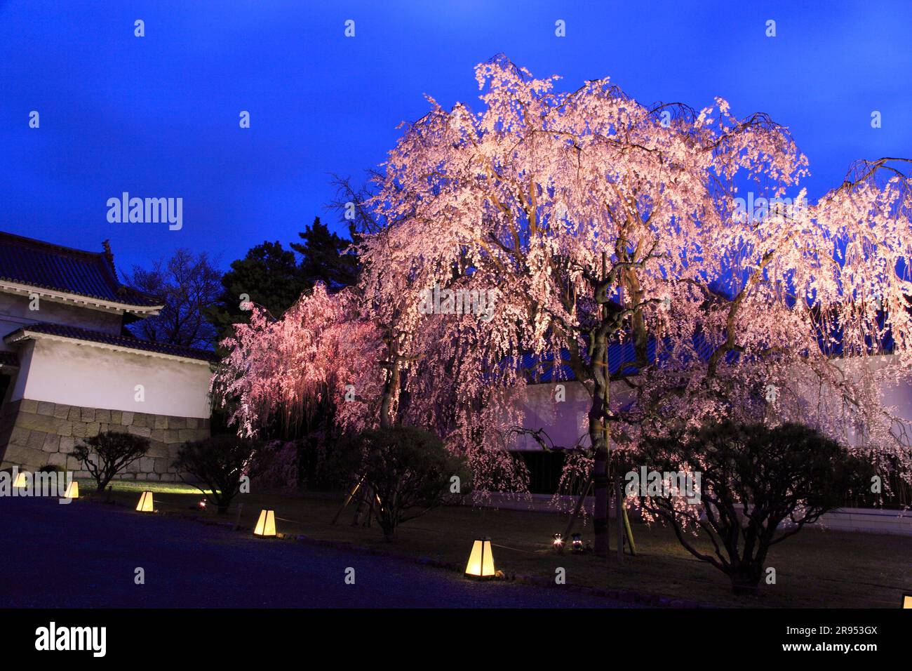 Nijo castle night hi-res stock photography and images - Alamy