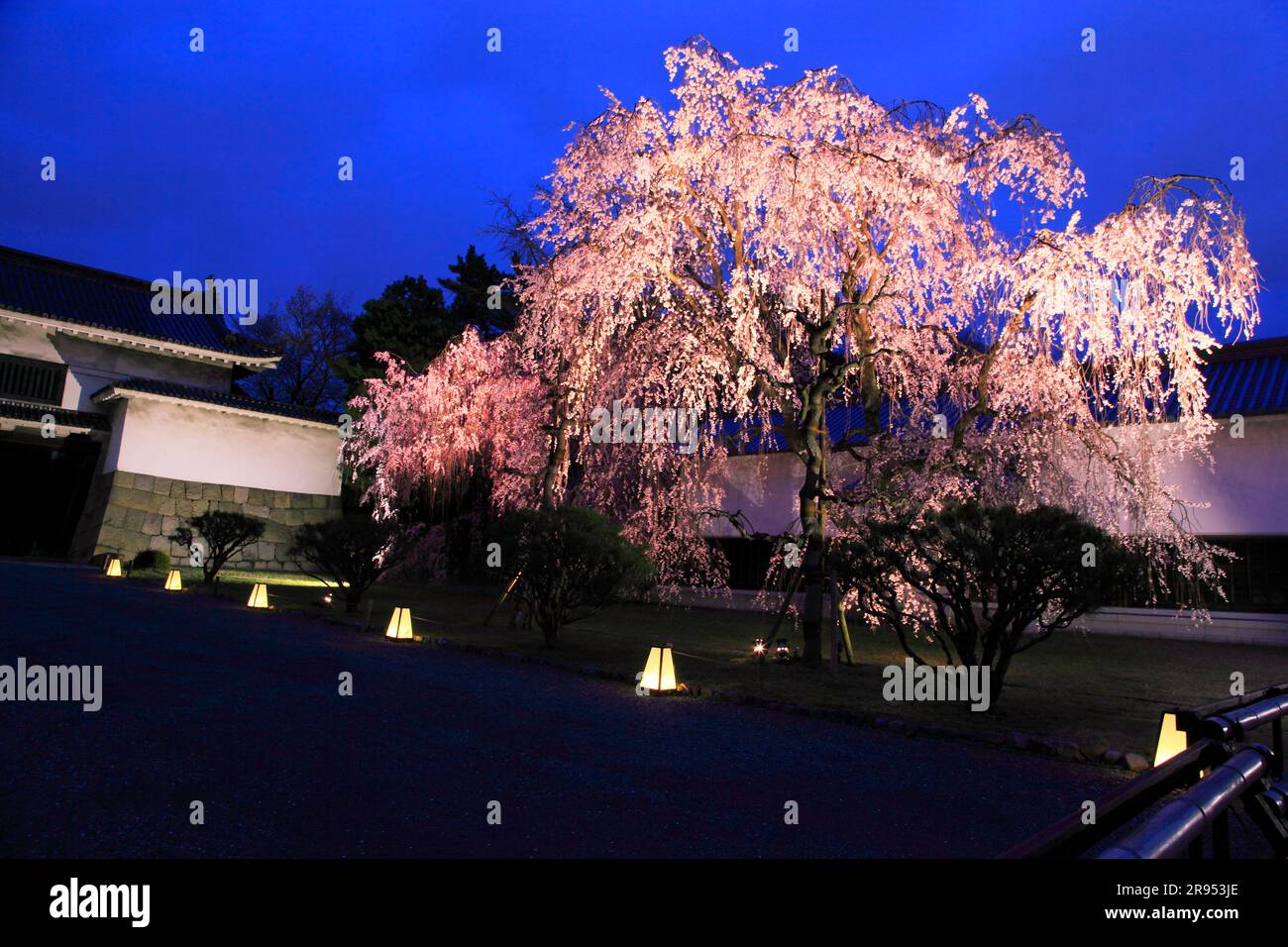 Nijo castle night hi-res stock photography and images - Alamy