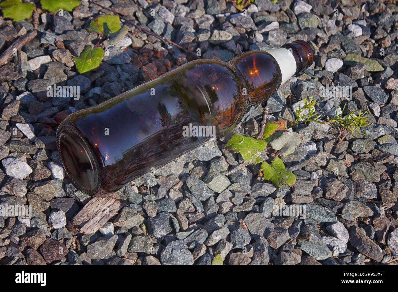 Empty Alcohol bottle thrown in beach sand. Pollution of nature by ...
