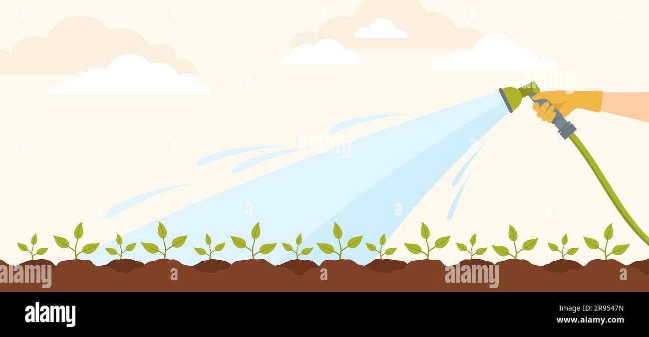 A hand in a rubber glove watering the beds with plant sprouts from a ...