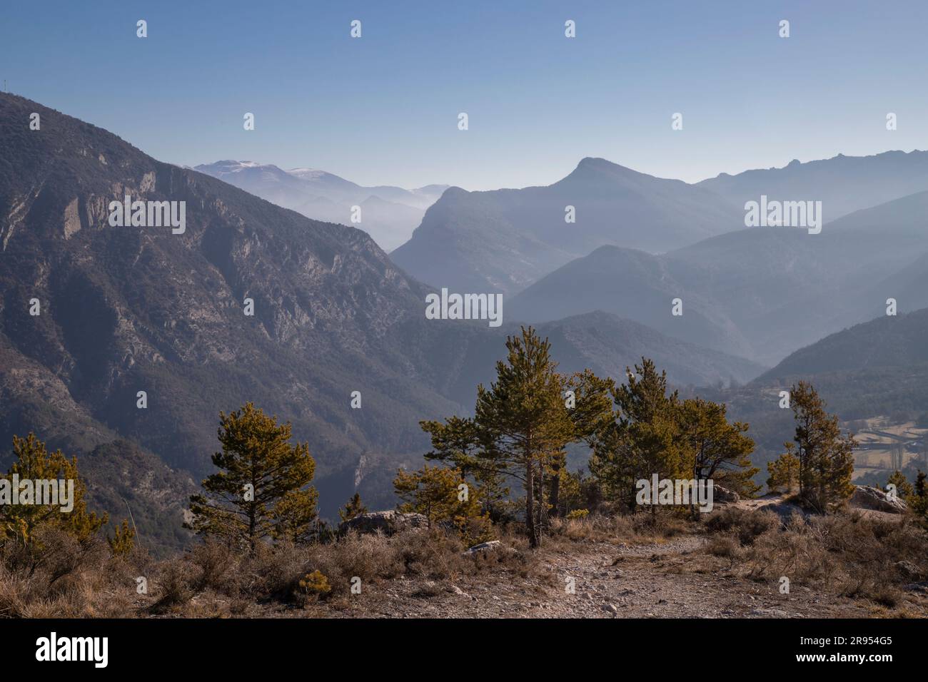 Landscape showing mountains and forest in a place called Cingles de ...