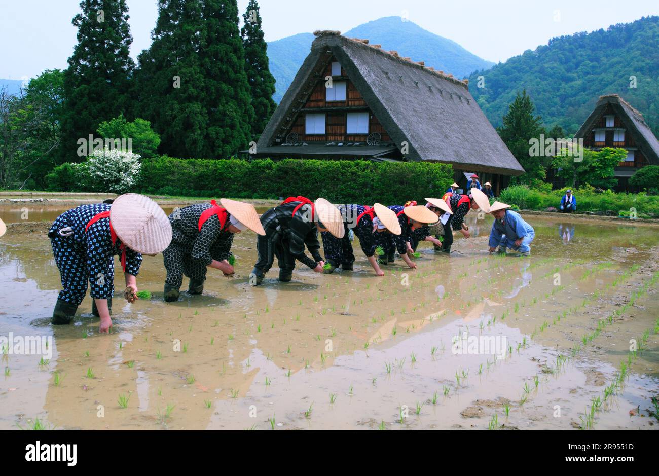 Rice planting festival of Shirakawago Stock Photo - Alamy