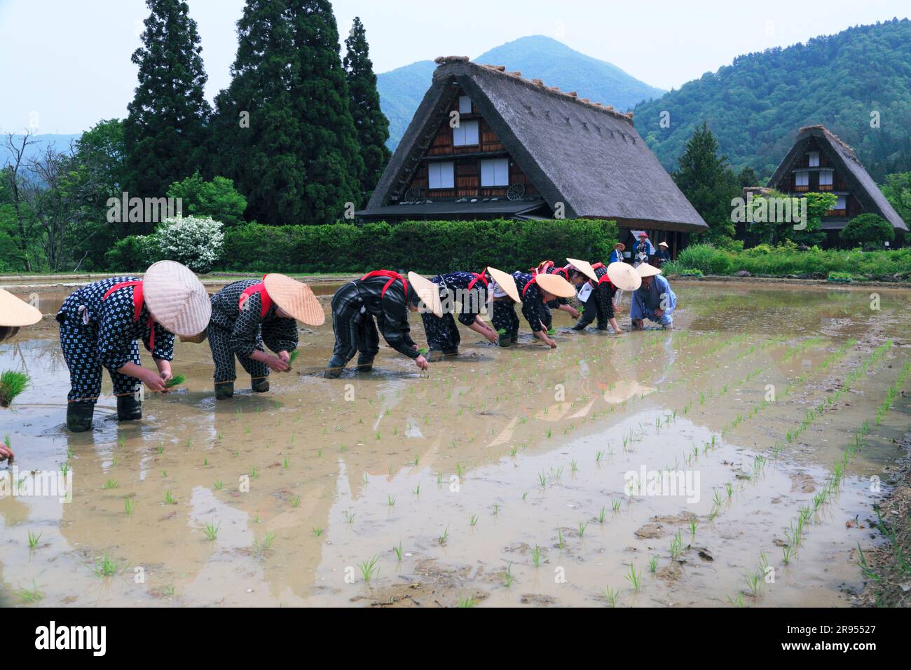Early season planting hi-res stock photography and images - Alamy