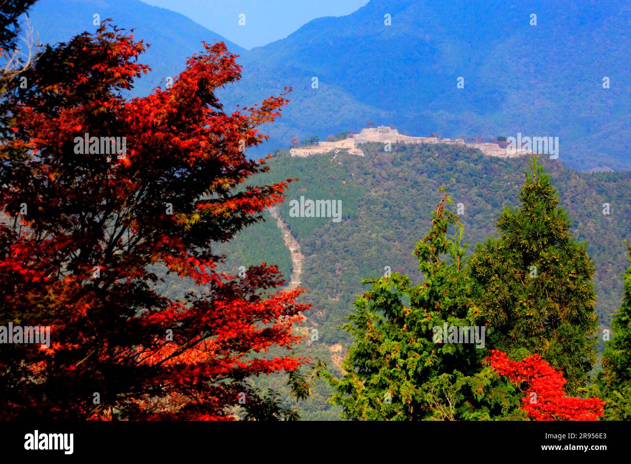 Takeda Castle Ruins maple trees and foliage Stock Photo - Alamy