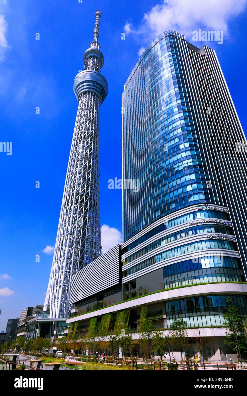 Tokyo Sky Tree and towers Stock Photo - Alamy
