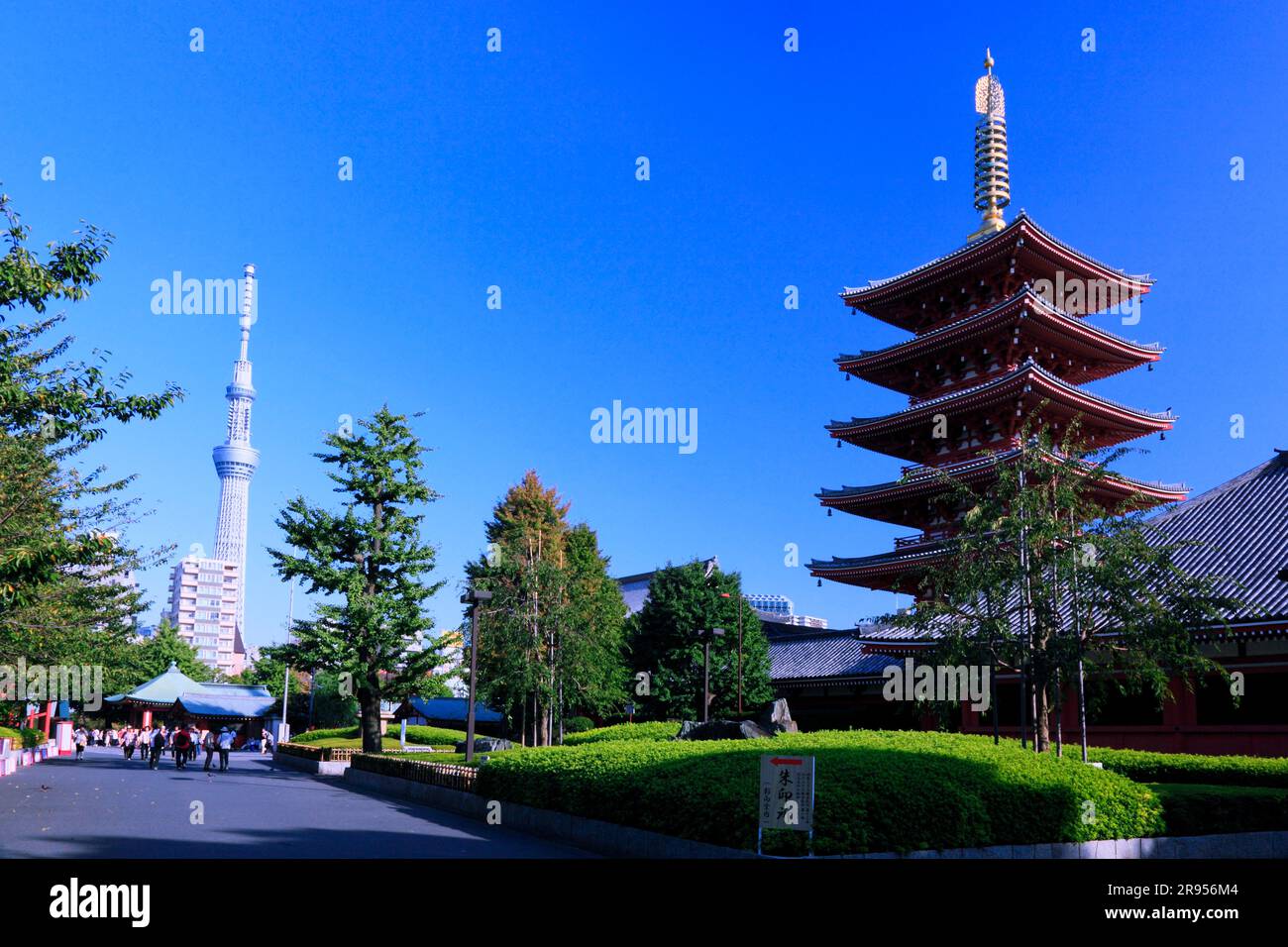 Sensoji temple and the sky tree tower hi-res stock photography and ...