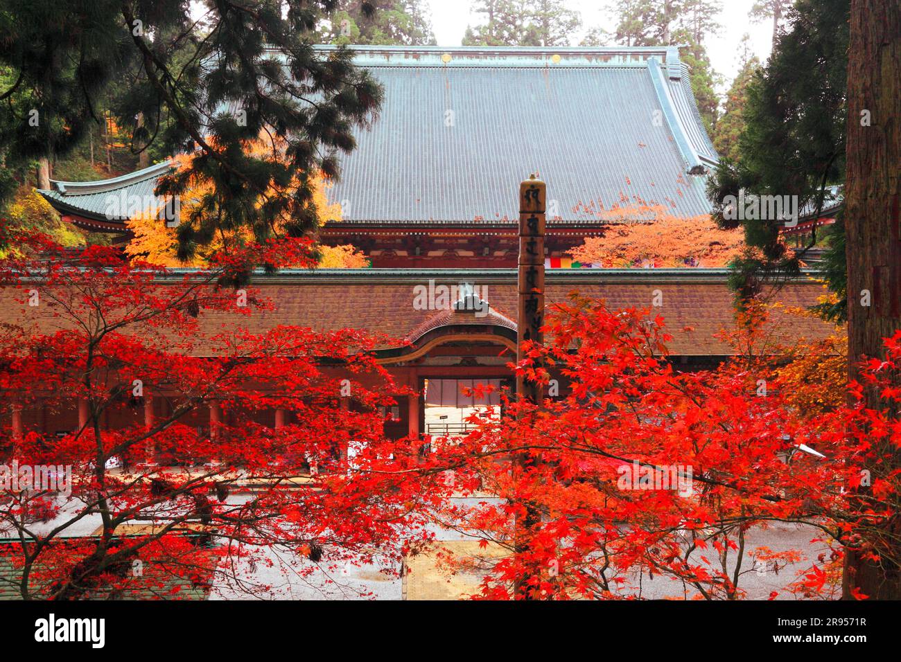 Konponchudo main hall of Enryakuji Temple on Mount Hiei in autumn ...