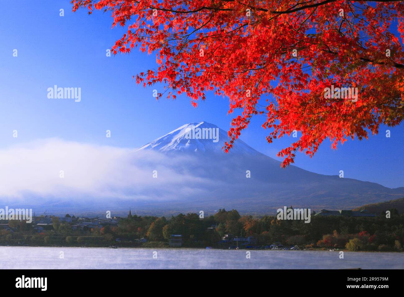 Fall foliage, Mt. Fuji and Lake Kawaguchi Stock Photo - Alamy