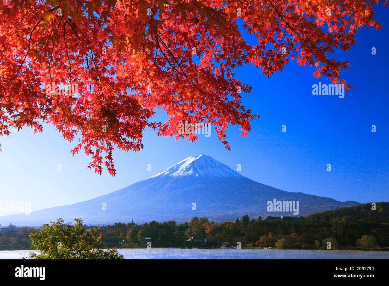 Fall foliage, Mt. Fuji and Lake Kawaguchi Stock Photo - Alamy