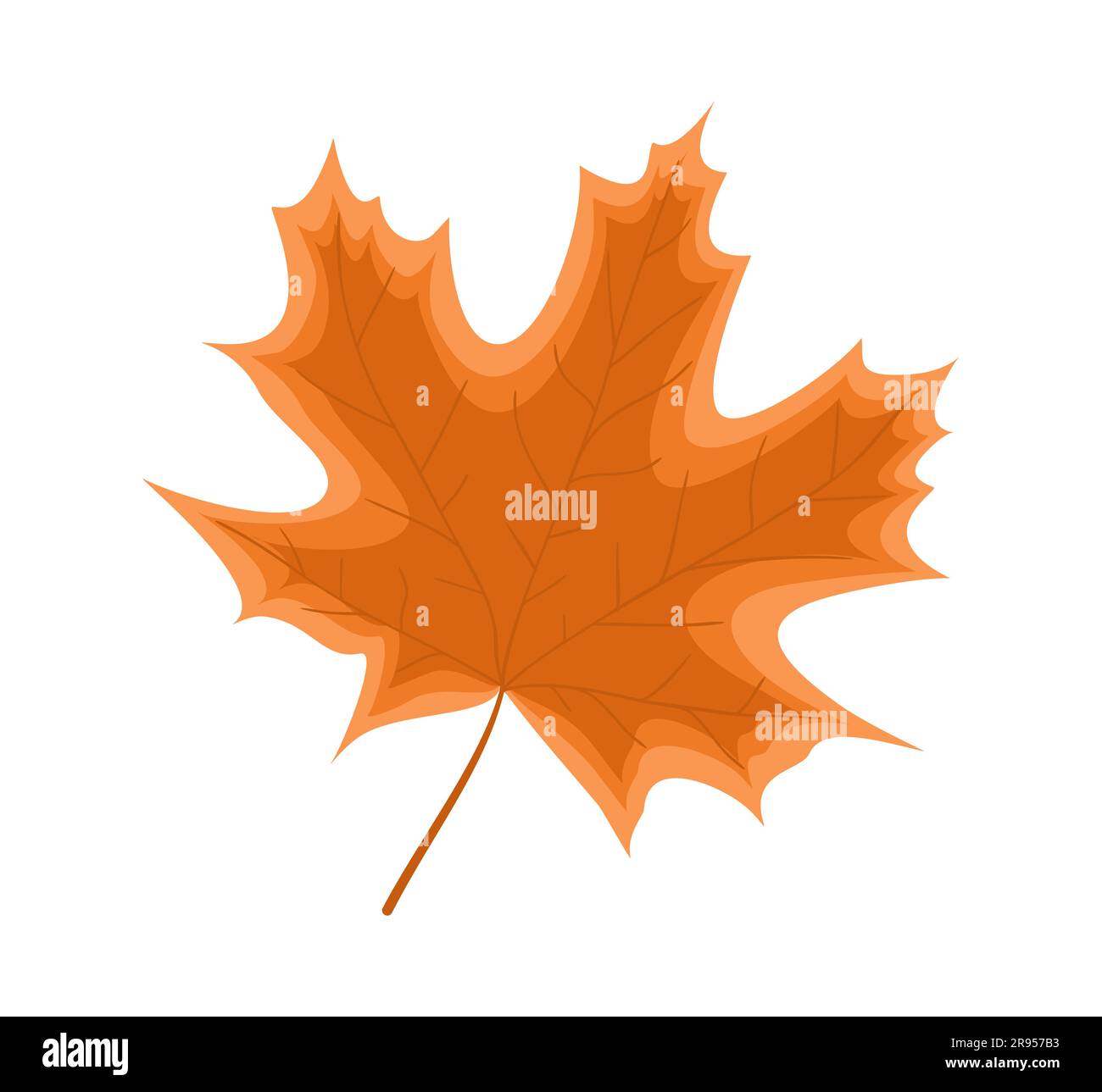 Orange maple leaf on a white background. Autumn decorative element ...