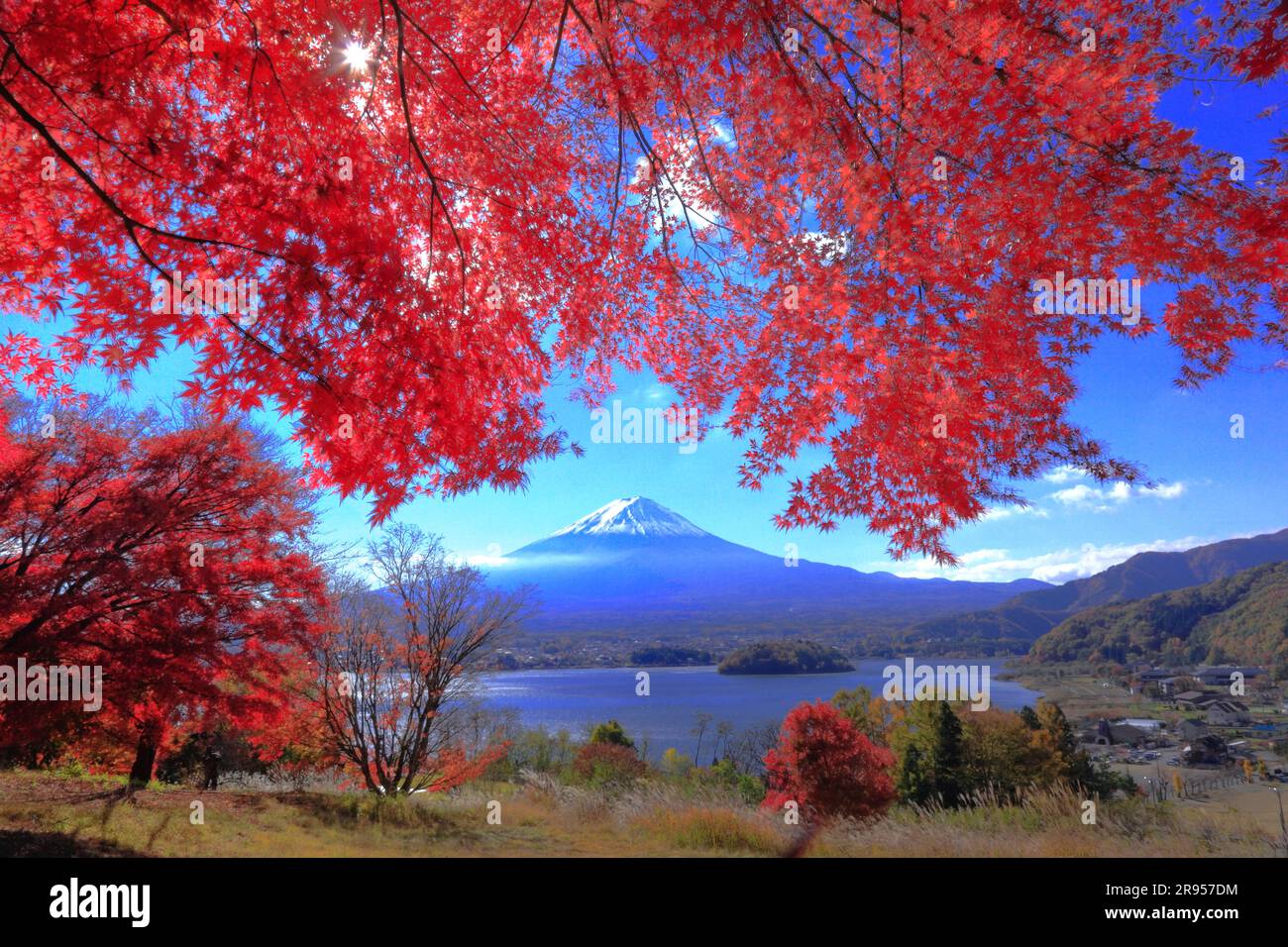 Fall foliage, Mt. Fuji and Lake Kawaguchi Stock Photo - Alamy