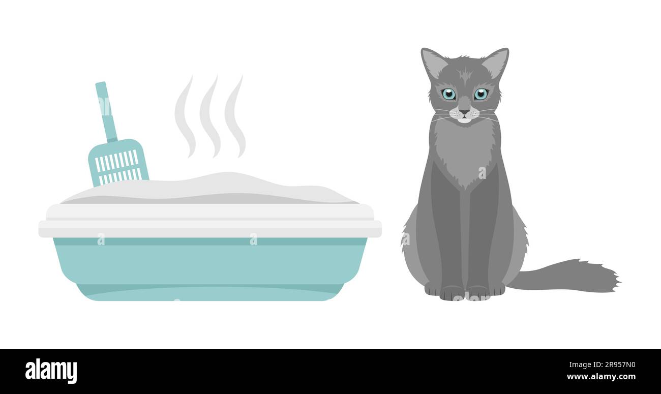 Cat next to a box Cut Out Stock Images & Pictures - Alamy