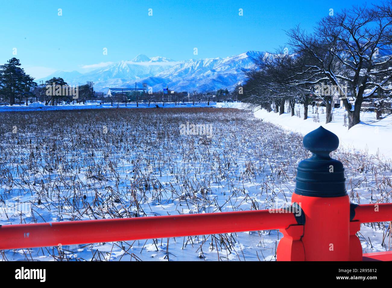 Snow at Takada park and Mount Myoko Stock Photo - Alamy