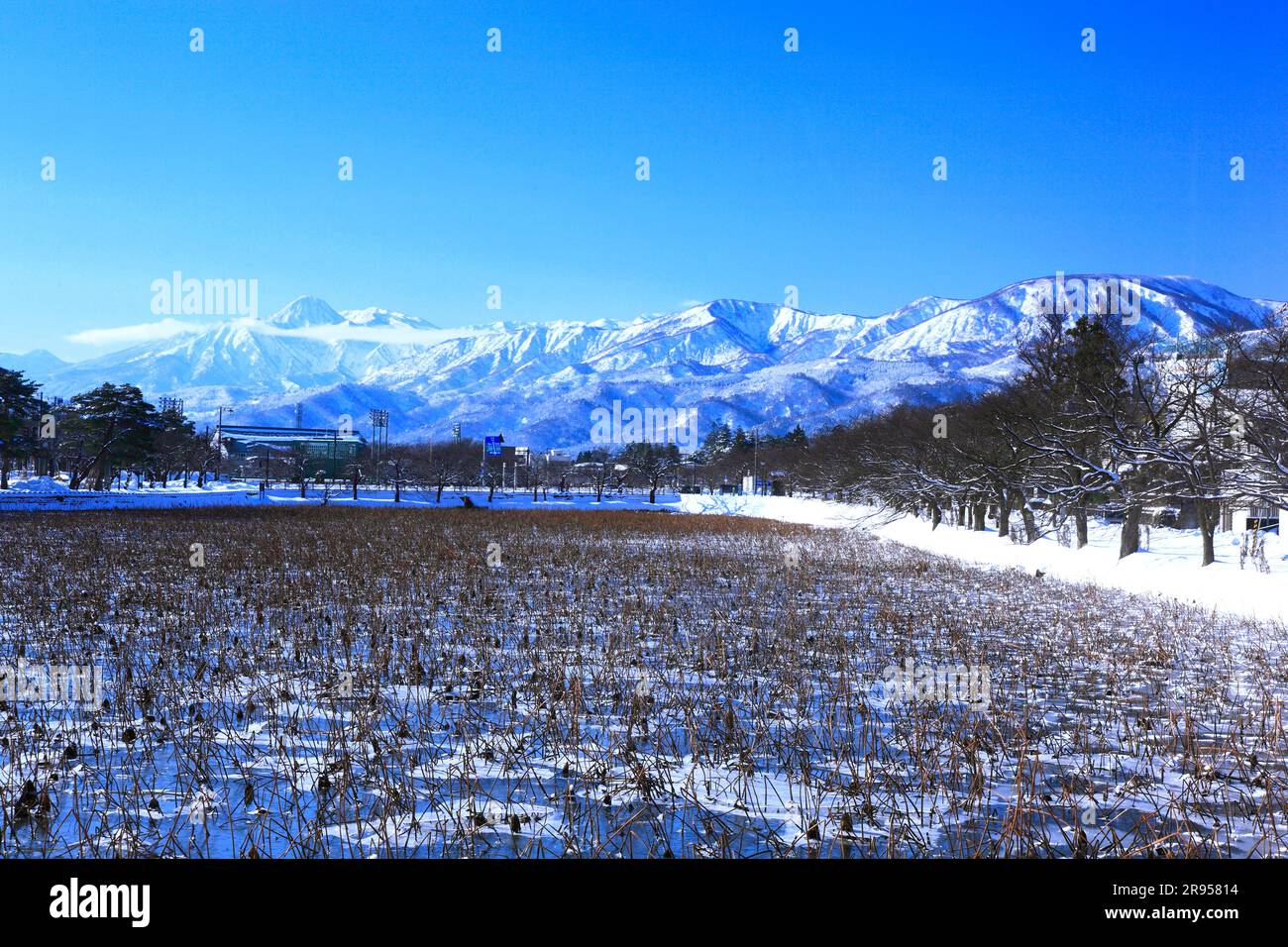 Snow at Takada park and Mount Myoko Stock Photo - Alamy