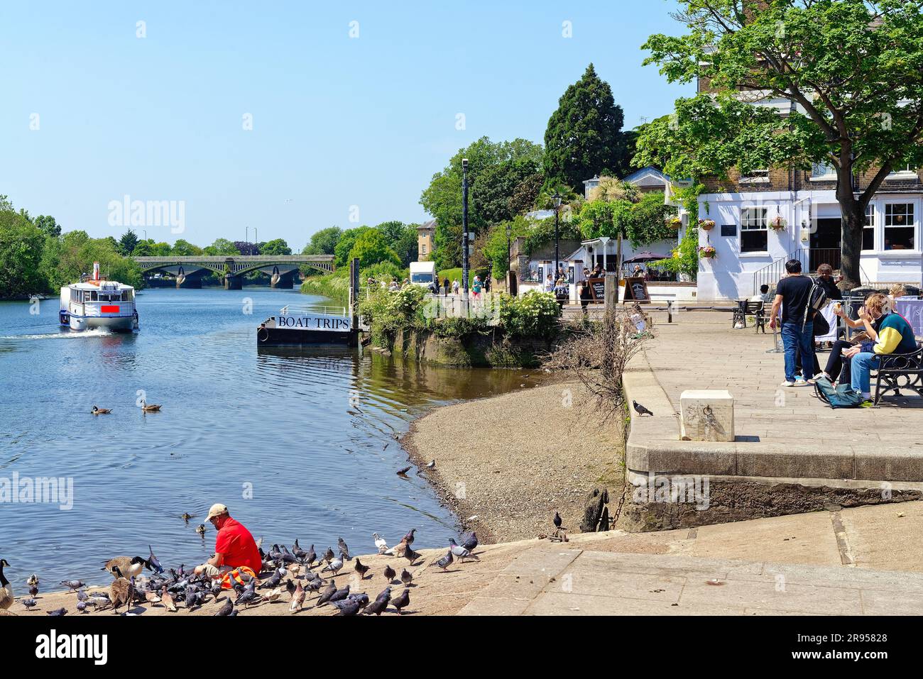 The waterfront and riverside at Richmond on Thames on a busy summers ...