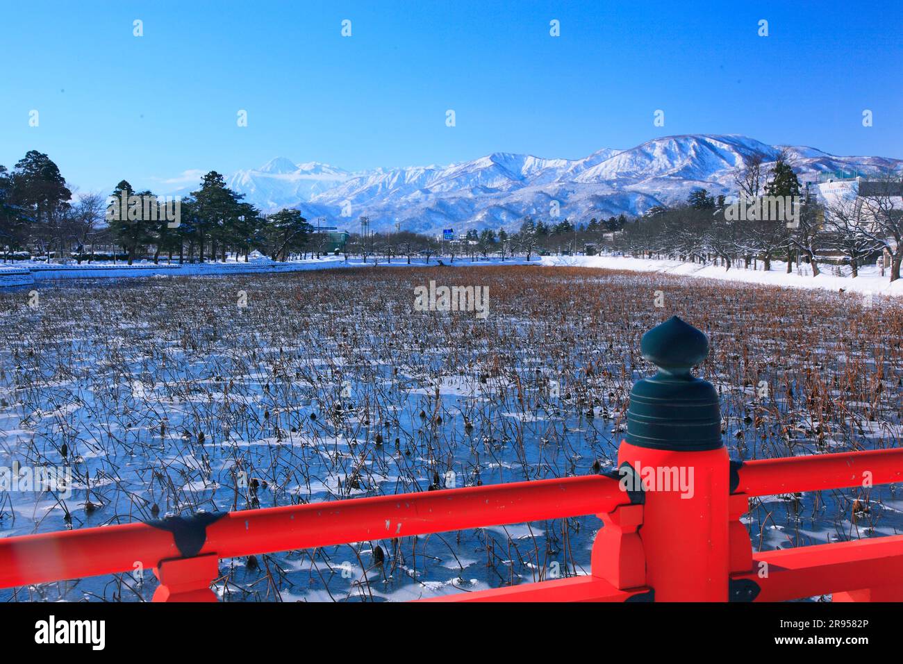 Snow at Takada park and Mount Myoko Stock Photo - Alamy