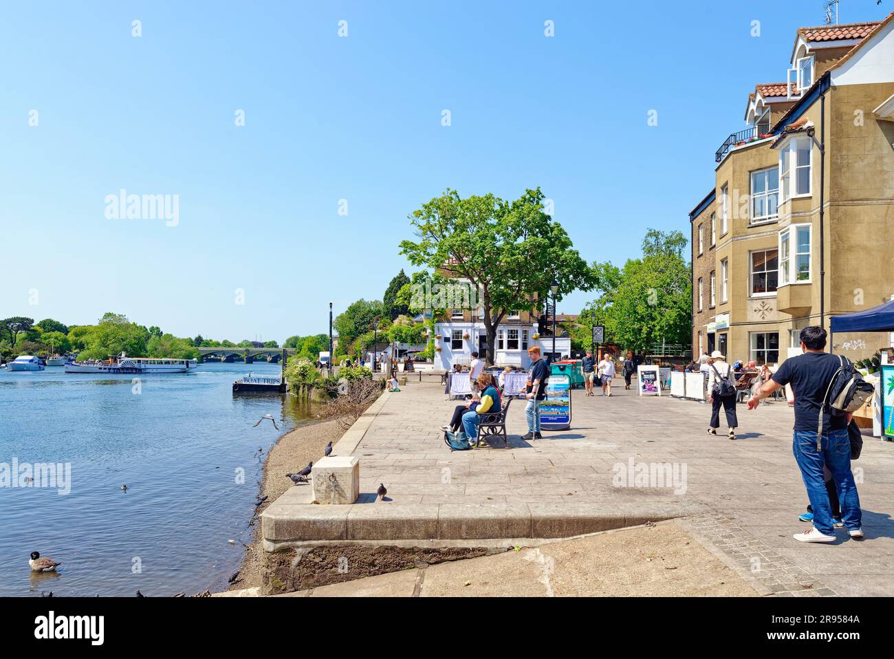 The waterfront and riverside at Richmond on Thames on a busy summers ...