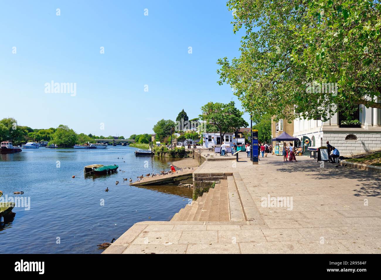 The waterfront and riverside at Richmond on Thames on a busy summers ...