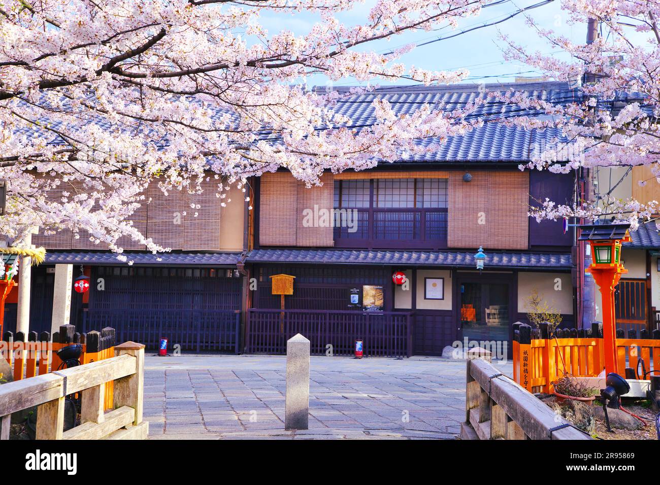 Shinbashi bridge in Gion with cherry blossoms Stock Photo - Alamy