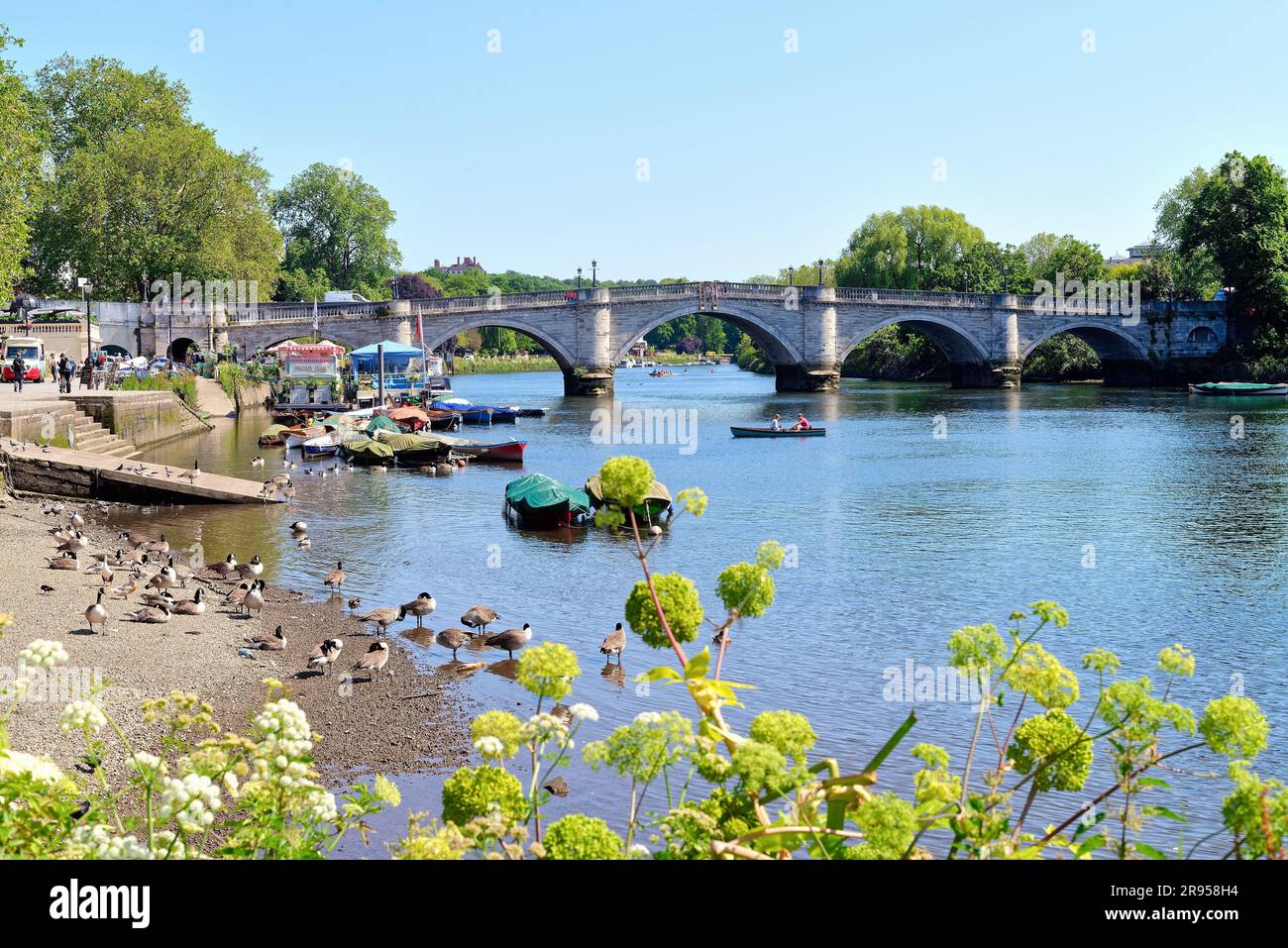 Thames summer hi-res stock photography and images - Alamy