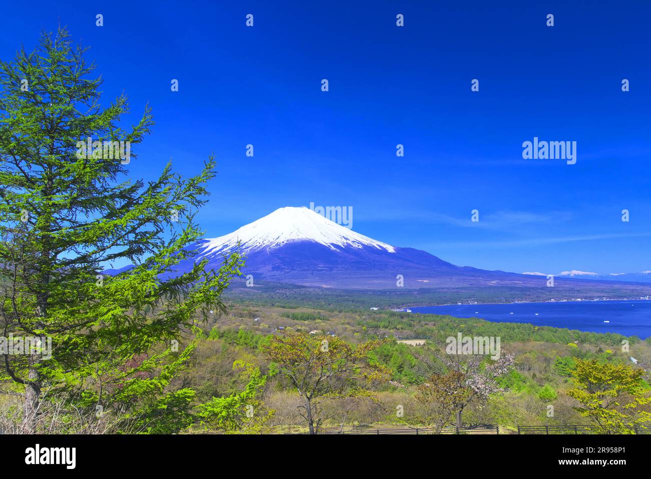 Mt. Fuji from the panorama platform Stock Photo - Alamy