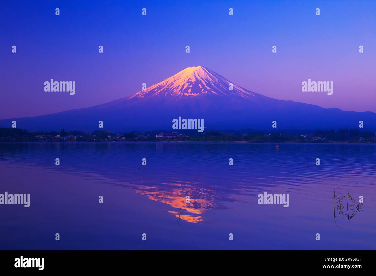Red fuji hi-res stock photography and images - Alamy