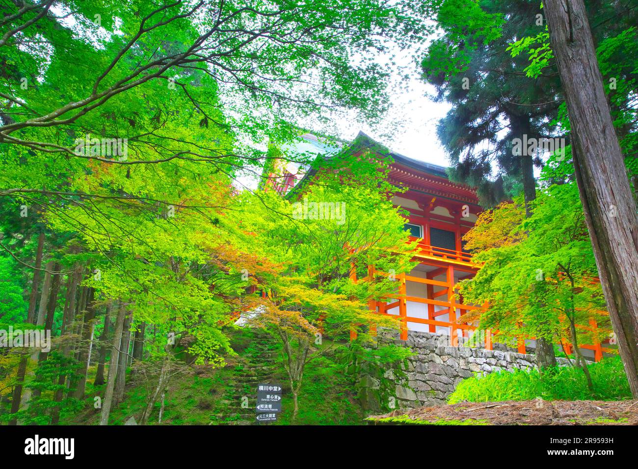 Yokogawa Chudo Hall of Enryaku-ji Temple Stock Photo - Alamy