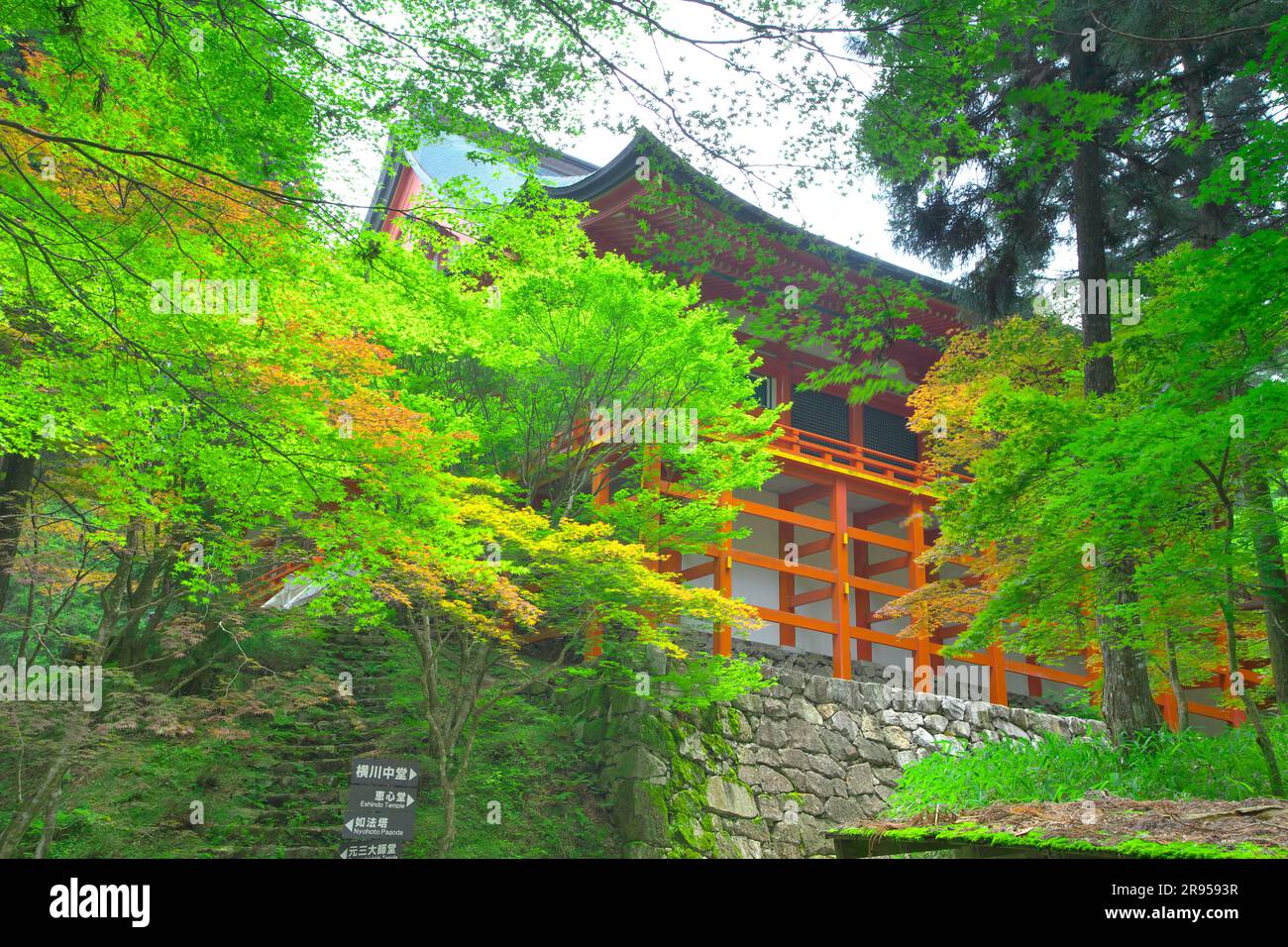 Yokogawa Chudo Hall of Enryaku-ji Temple Stock Photo - Alamy
