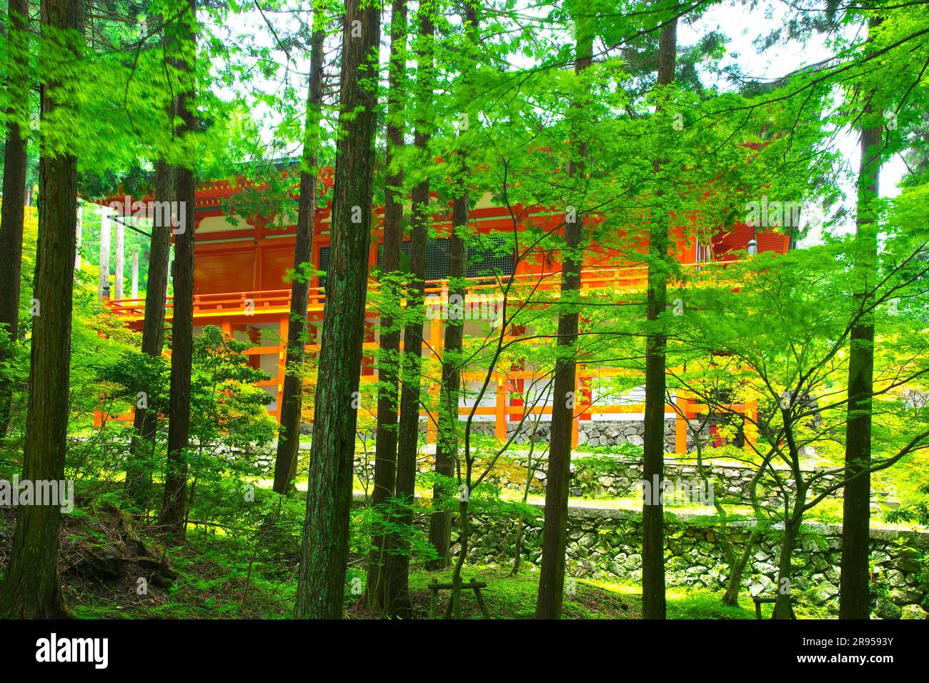 Yokogawa Chudo Hall of Enryaku-ji Temple Stock Photo - Alamy