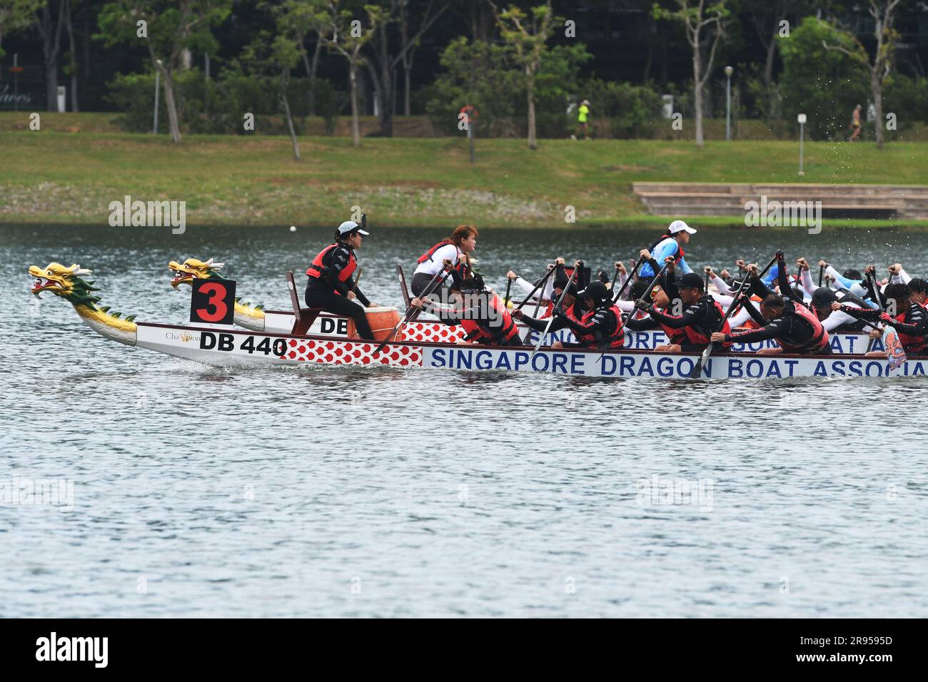 Singapore. 24th June, 2023. Dragon boat rowers compete during a dragon ...