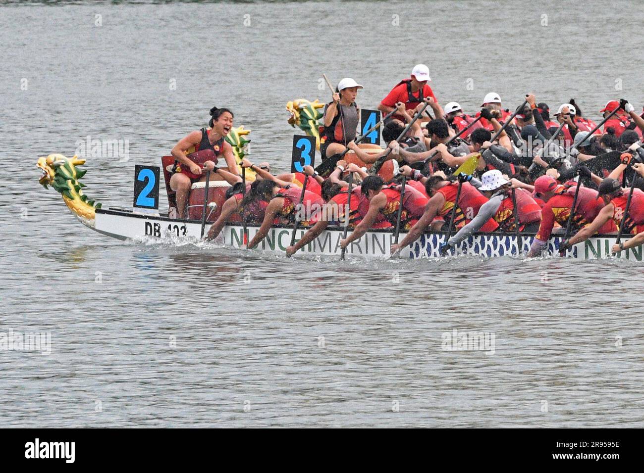 Singapore. 24th June, 2023. Dragon boat rowers compete during a dragon ...