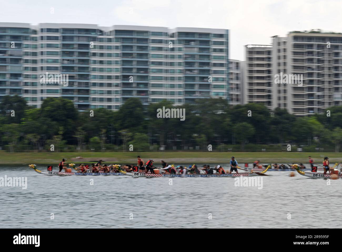 Singapore. 24th June, 2023. Dragon boat rowers compete during a dragon ...