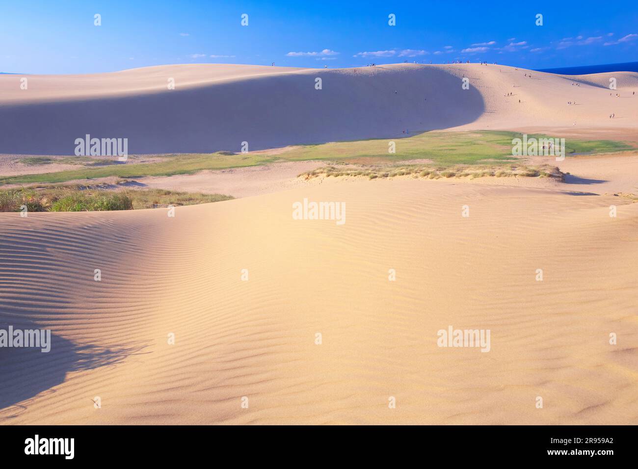 Tottori sand dunes Stock Photo - Alamy