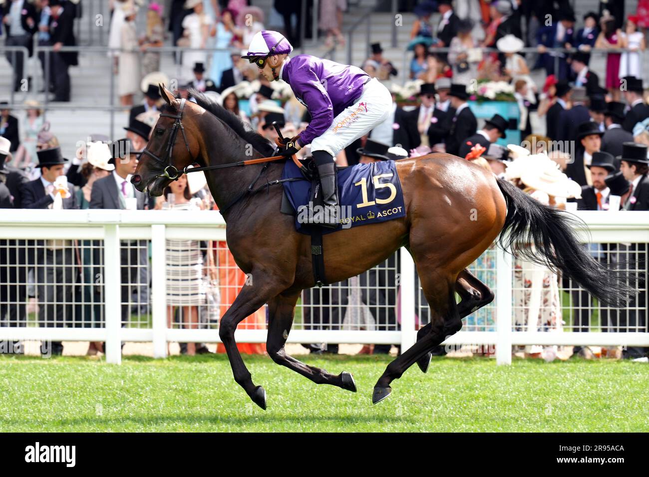 Jockey Kevin Stott with horse Olivia Maralda before the Jersey Stakes ...