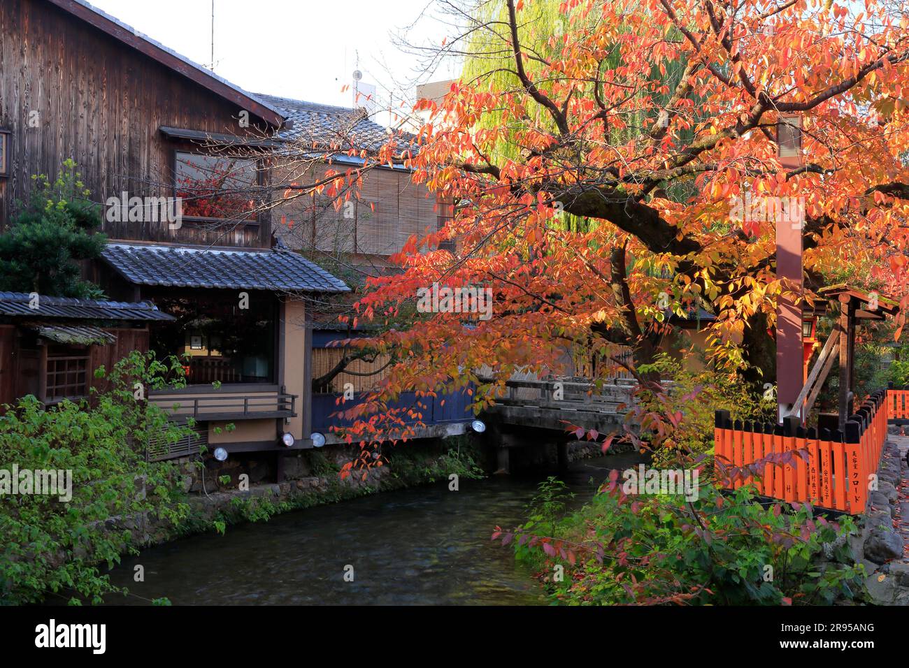 Gion of Autumn Leaves Stock Photo - Alamy