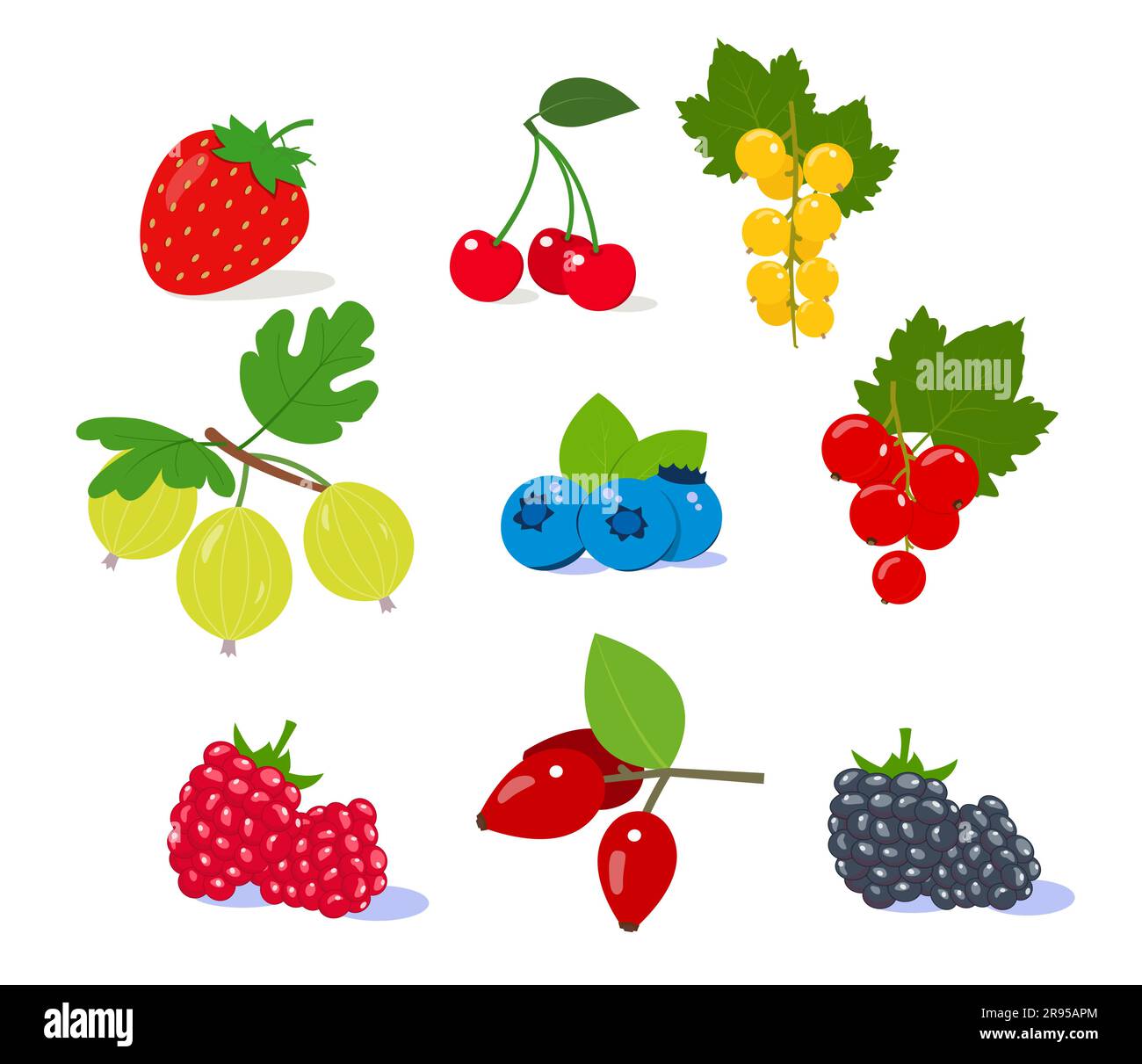 Raspberry plant detail Stock Vector Images - Alamy