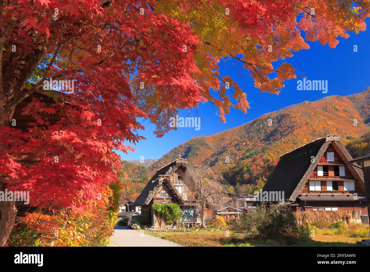 Shirakawa-go in Autumn Leaves Stock Photo - Alamy