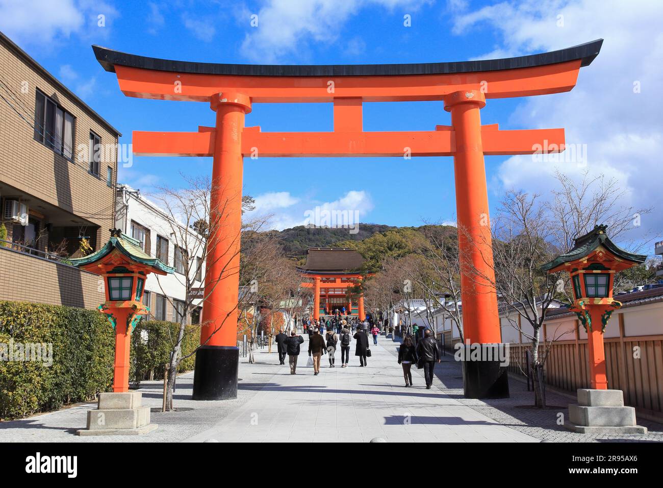Inari forest hi-res stock photography and images - Alamy
