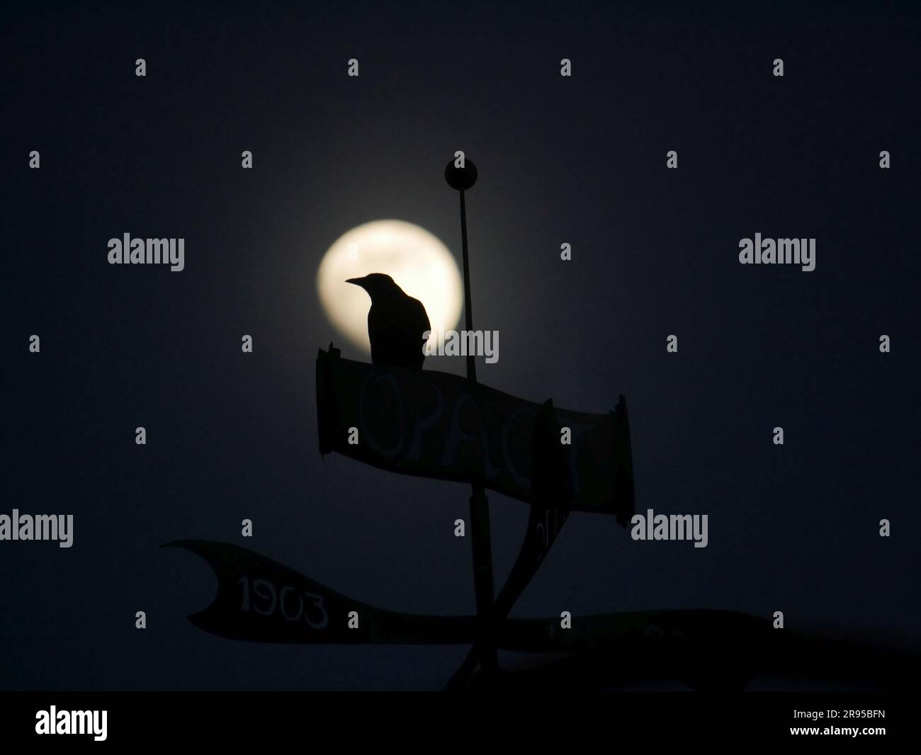 Crow dream hi-res stock photography and images - Alamy