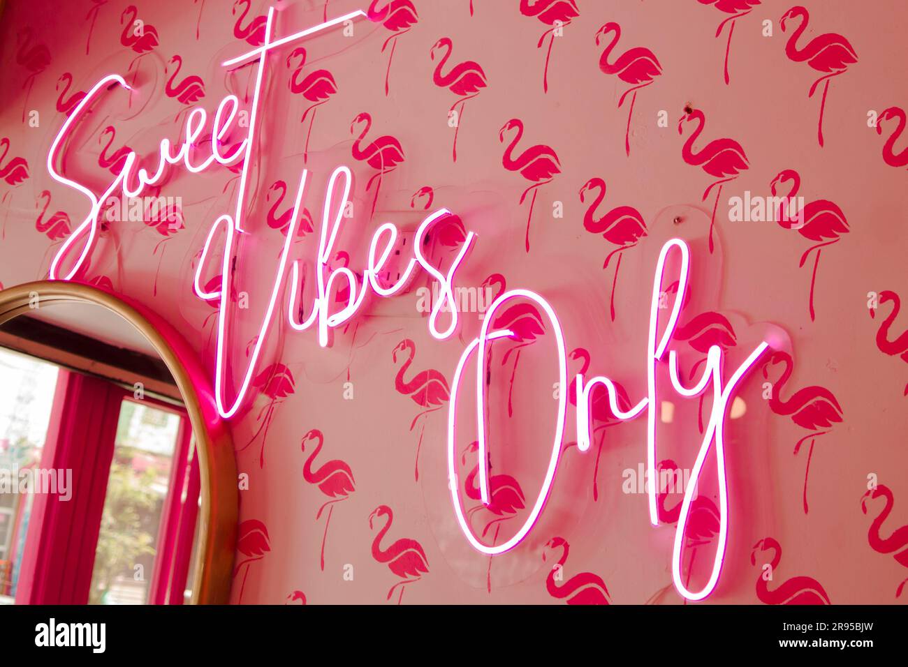 A vibrant neon sign reading 'Sweet Vibes Only' is illuminated on a ...