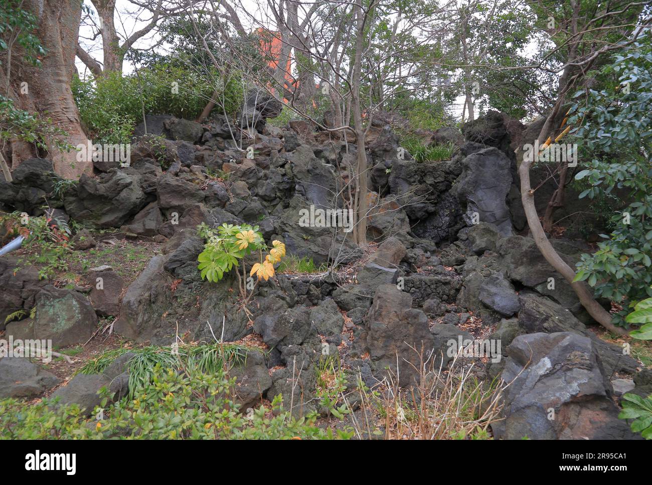 Mound eruption hi-res stock photography and images - Alamy