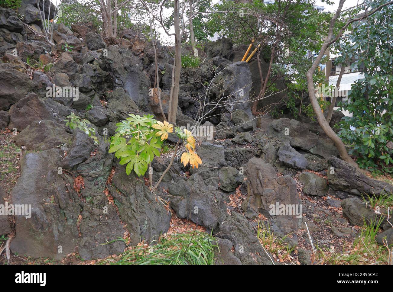 Lava mound at the site of Aizenin Temple Stock Photo - Alamy