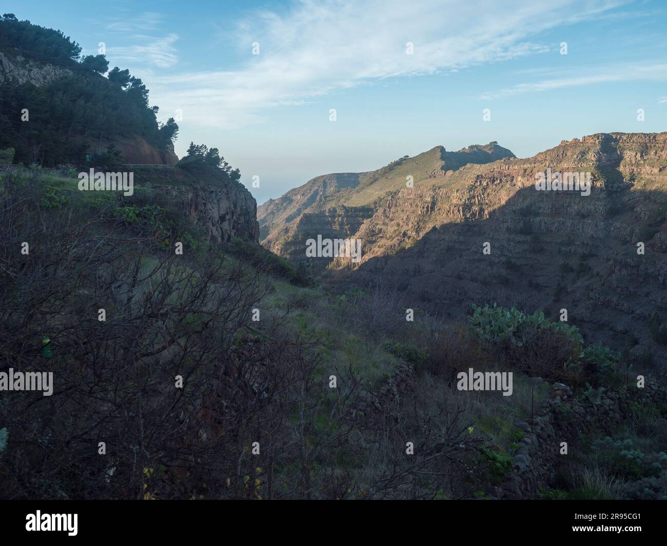 View of green valley with palm trees, cacti and sharp cliffs of La ...